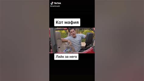 кот мафия лайк за него - YouTube