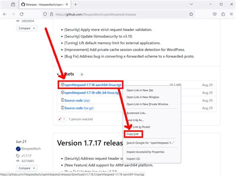 OpenLiteSpeed And Raspberry PI Superfast Webserver Alternative To Apache