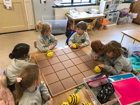 Bee Bots 🐝