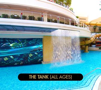 The Tank And Hideout Pool Golden Nugget Las Vegas