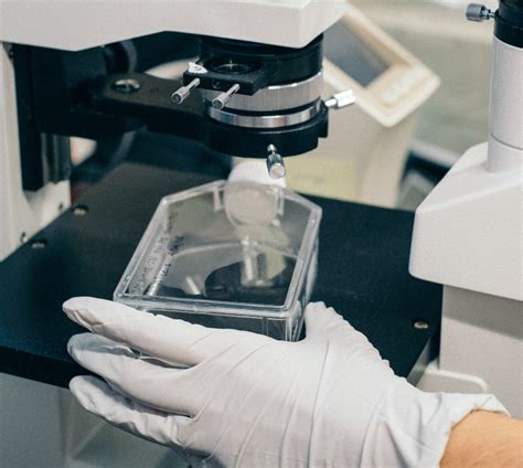 Genetic Testing Before Conception Why You Should Do It Zerxza