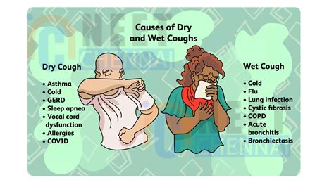 Differences Between Dry Cough And Wet Cough Neet Chennai