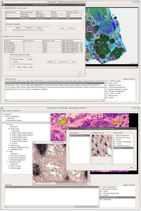 Dna Microarray And Ish Modules By Consulting A Term Of The Ontology A