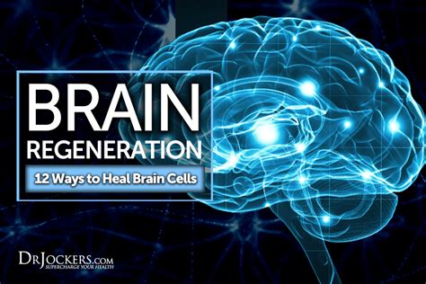 Brain Regeneration Ways To Heal Brain Cells Internationally