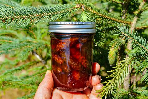 Sweet And Aromatic Pinecone Jam Recipe Like Pine Cone Honey