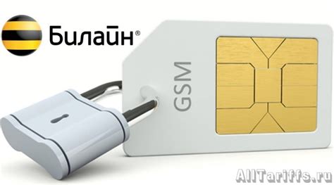 Как заблокировать сим карту Билайн — все тарифы мобильных операторов