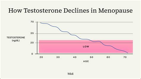 Testosterone For Menopause How This Hormone Helps Women
