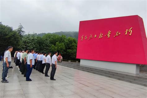 弘扬英烈精神 赓续红色血脉高淳区举行中国烈士纪念日祭扫活动 各区动态 南京市退役军人事务局