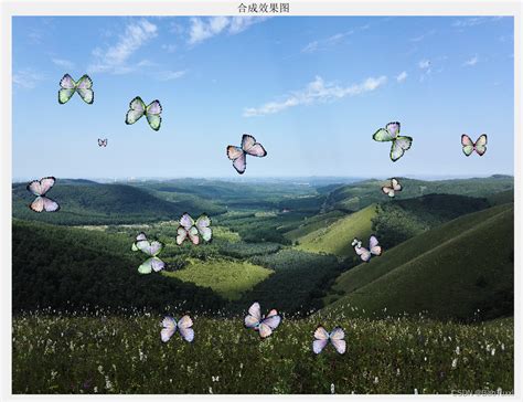 实验二： 图像的基本运算和几何变换（数字图像处理）matlab数字图像处理实验图像的基本操作 Csdn博客