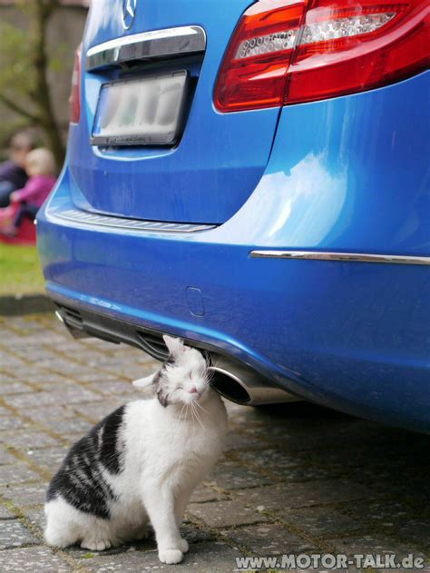 Service AK - Startseite Forum Auto Mercedes B-Klasse W246 & W242 Forum