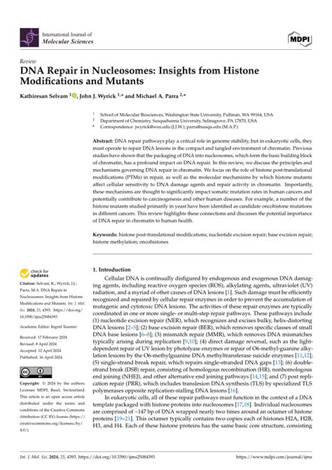 Pdf Dna Repair In Nucleosomes Insights From Histone Modifications And Mutants