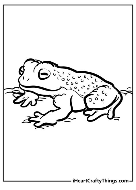 Toad Coloring Pages 100 Free Printables