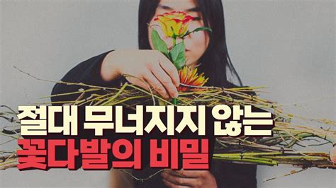 무너지지 않는 꽃다발 황금비율 이론 Youtube