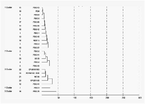 Clustering Pattern Of Different Genotypes By Tochers Method Download Scientific Diagram
