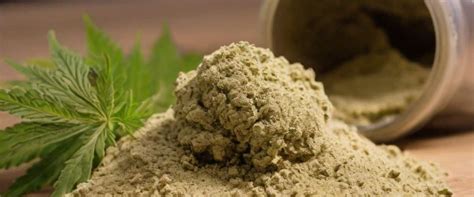 Kief Vs Hash Differences Uses And Benefits Explained