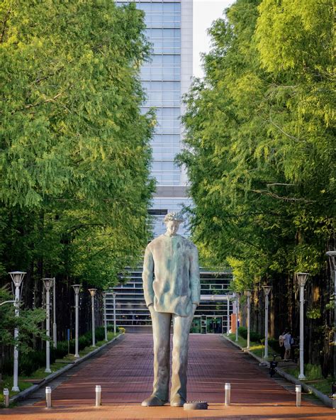 영남대학교yeungnam ☀️ 한여름 방학의 캠퍼스를 천천히 거닐며 ⠀ 여름이 한창인 지금 학기 내내 사람들로 붐비던 길 위엔 잔잔한 햇빛과 나무 그림자만이