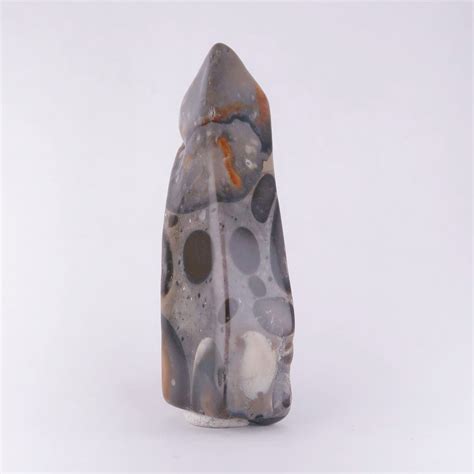 Polished Puddingstone Conglomerate