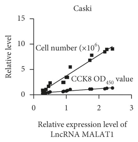 Lncrna Malat1 Elevates The Proliferation Of Cervical Tumor Cells A