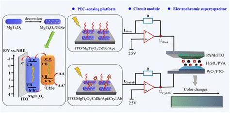 Portable Visual Photoelectrochemical Biosensor Based On A Mgti2o5cdse