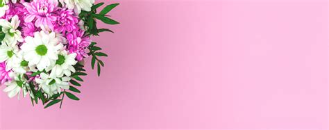 파스텔 배경에 봄 꽃의 아름다운 꽃다발 자연 개념 배너 창조적 인 모형 또는 레이아웃 상단 보기와 플랫 평지 구성 0명에 대한 스톡 사진 및 기타 이미지 Istock