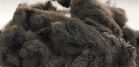 Recycled Fiber 3d Sd Polyester Solid Dry Black Polyester Fiber