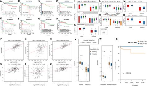 The Relationship Between Overall Survival And The Clonal Sub‐clonal Download Scientific Diagram