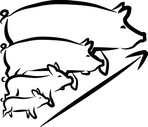 How To Improve Swine Performance Efficiency Hypor