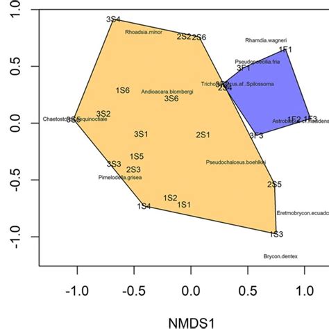 Non Metric Multidimensional Scaling Ordination Nmds With Bray Curtis