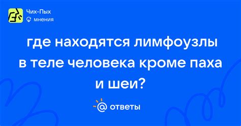 Где находятся лимфоузлы в теле человека кроме паха и шеи Ответы Mail