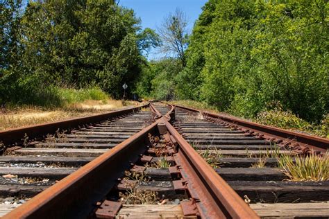 About Joy Rails Book An Excursion Today