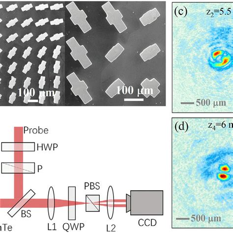 Experimental Results Of The Sample 1 A Local Scanning Electron Download Scientific Diagram