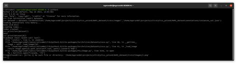 Custom Coco Format Dataset Issue 8087 Pytorch Vision GitHub