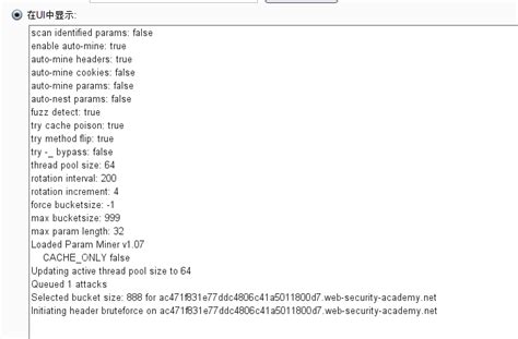 It Seems Like That Doesn T Work Normally Issue PortSwigger Param Miner GitHub