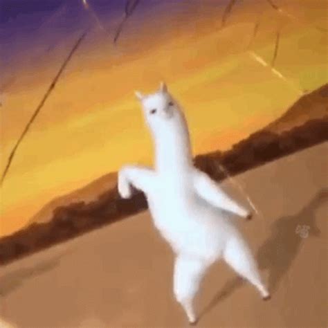 Dancing Llama Doomlar  Dancingllama Doomlar Discover And Share S