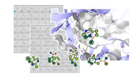Hinge Binder Collection For Kinase Inhibitor Design