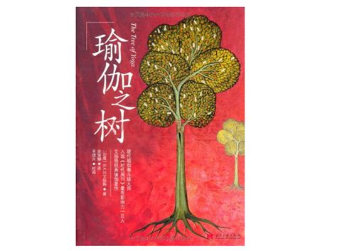 调息之光