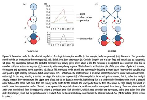 预测编码和主动推理的大脑结构的演变 Csdn博客
