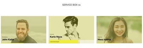 Interactive Service Add On With Hover Effects For Wpbakery By Pixelsigns