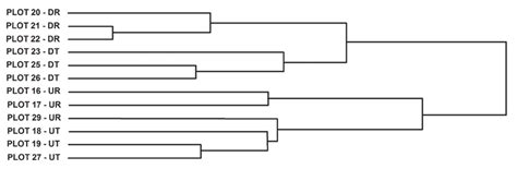 Agglomerative Hierarchical Classification Of Plant Species Composition Download Scientific