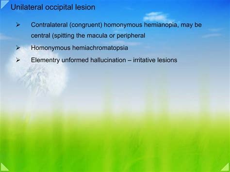 07b Posterior Association Cortex Pdf