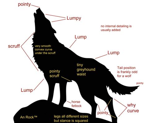 The Anatomy Of Lumpy Kiba Tearlessrain On Tumblr