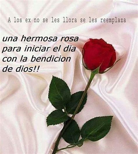 Una Rosa Hermosa Para Ti Imagui