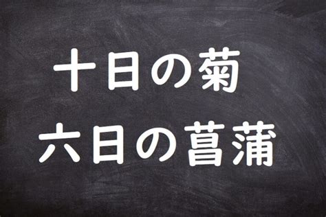 十日の菊六日の菖蒲とおかのきくむいかのあやめ ことわざ格言故事一覧