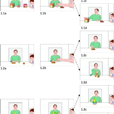 Schematic Illustration Of Familiarization Events In Experiment 1 Download Scientific Diagram