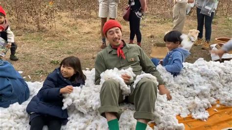 목화오름 유기농목화 수확하는 날 2024년 12월 겨울 Youtube