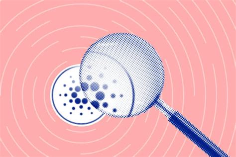 The Cardano Roadmap Explained Luno