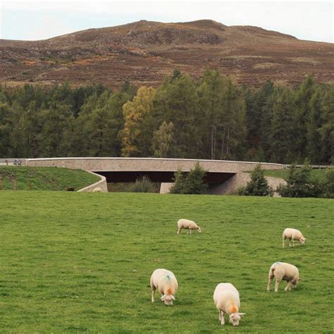 Eight Elevated Walkways Designed To Reach New Heights