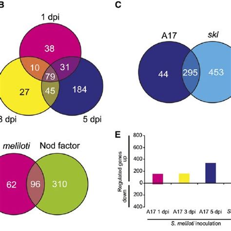 Experimental Overview Of Transcriptome Analysis Performed And Numbers