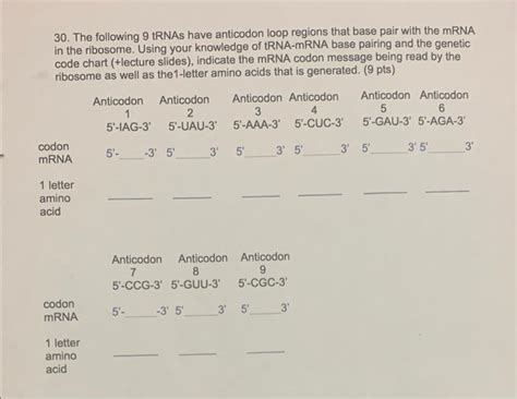 Solved 30 The Following 9 Trnas Have Anticodon Loop Regions