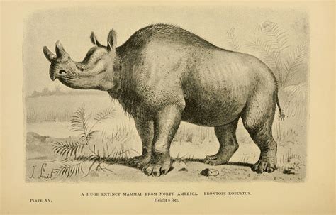 Más Allá De Somosaguas Ucm Beyond Somosaguas Científicos Ilustres